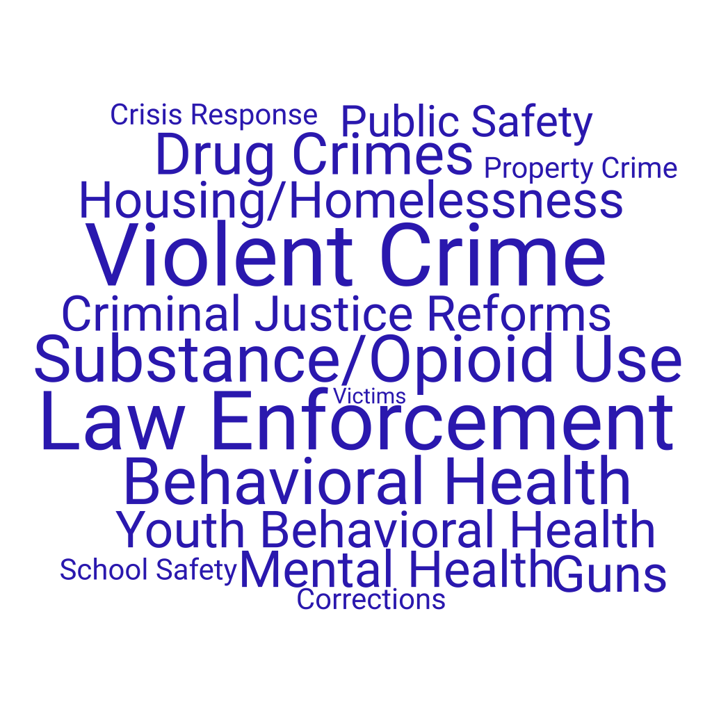 State of the States: Criminal Justice and Behavioral Health Priorities ...